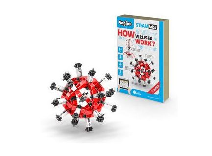 Blog de ociomodell.com - Steam labs junior ``¿Cómo trabajan los virus ...